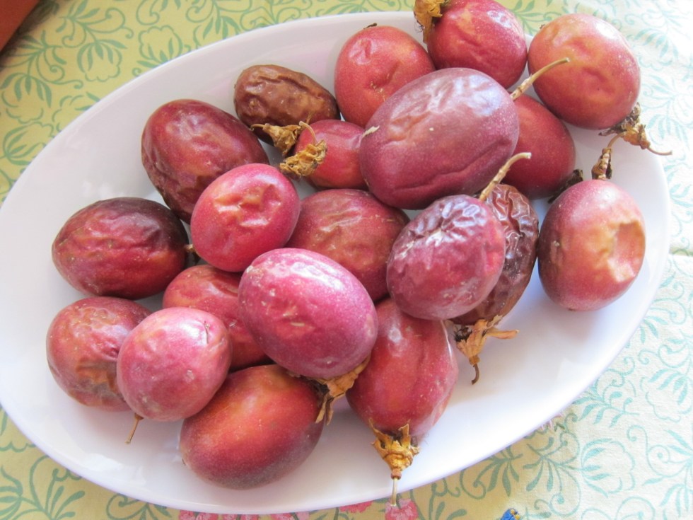maracuja | food and other stuff